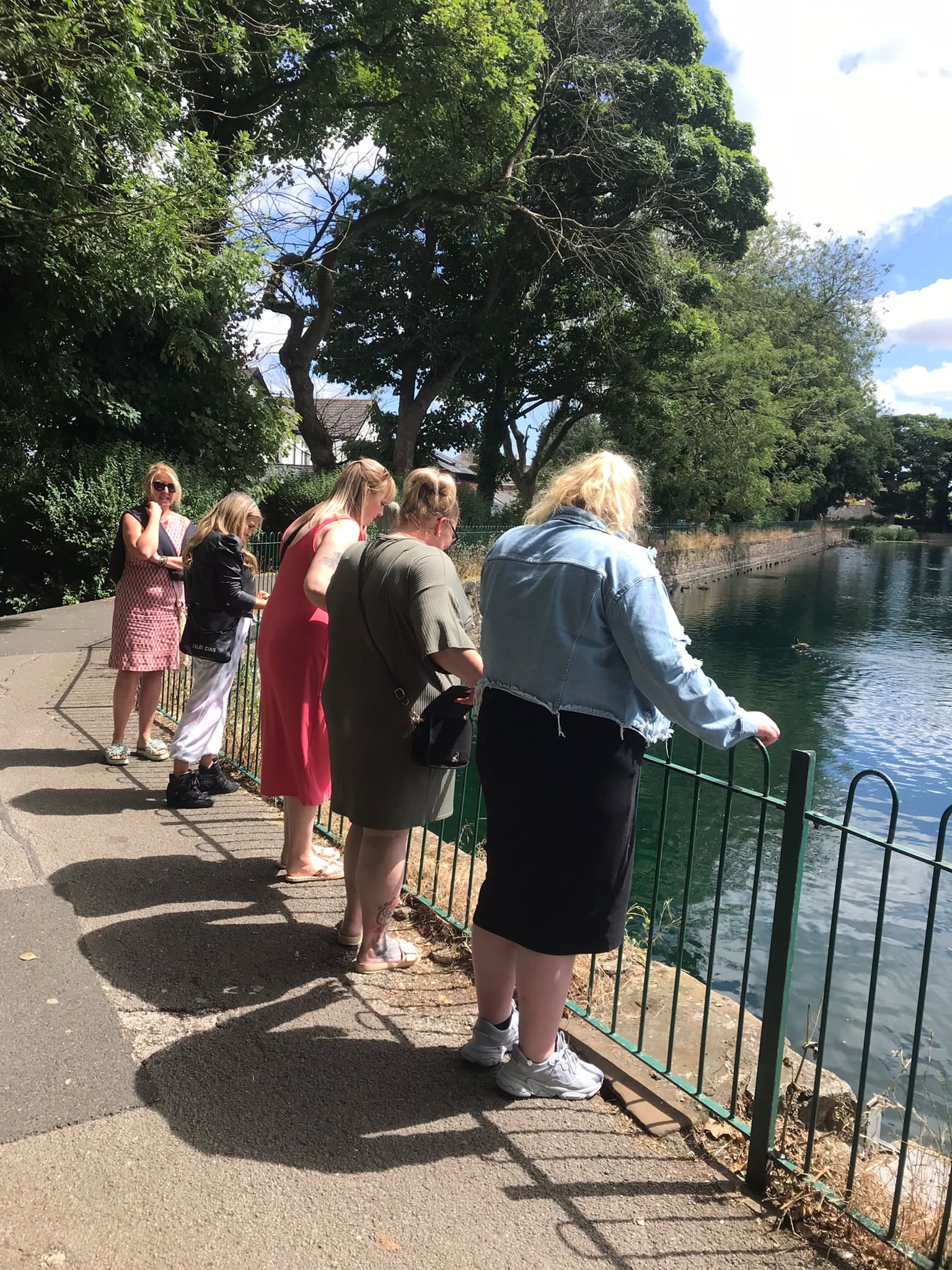 Family support - Cells Project CIO - Behavioural Intervention ...